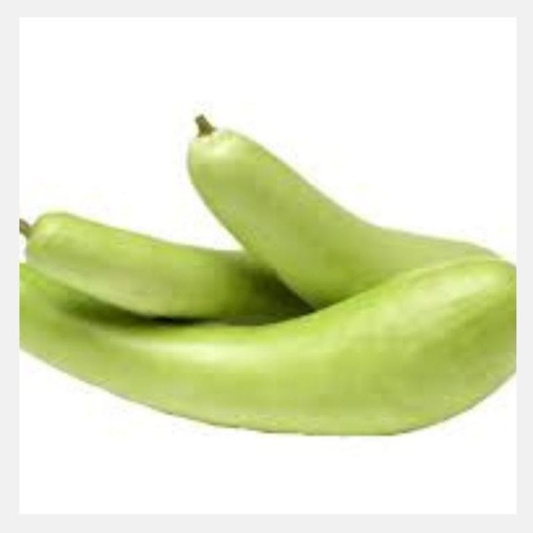 Bottle Gourd (Loki) Seeds